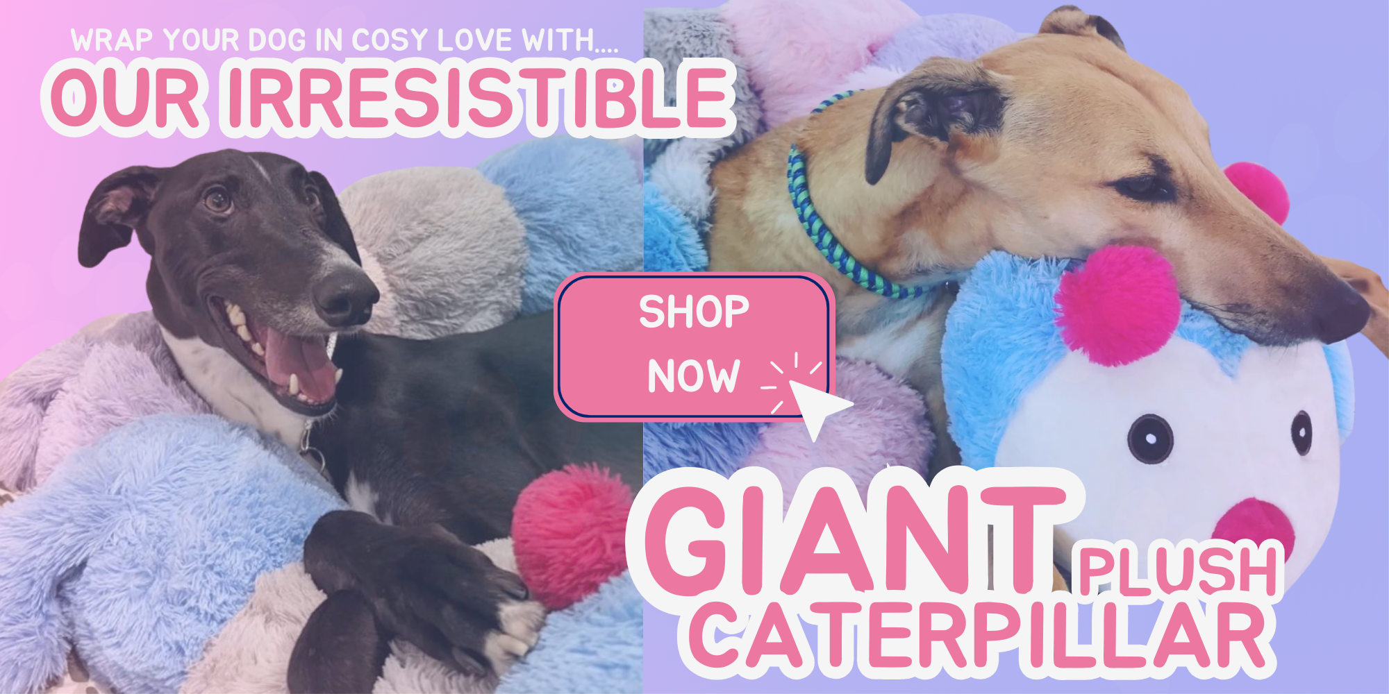 Rainy Day Pets | Cuddly Cuddlepillar Toys For Dogs